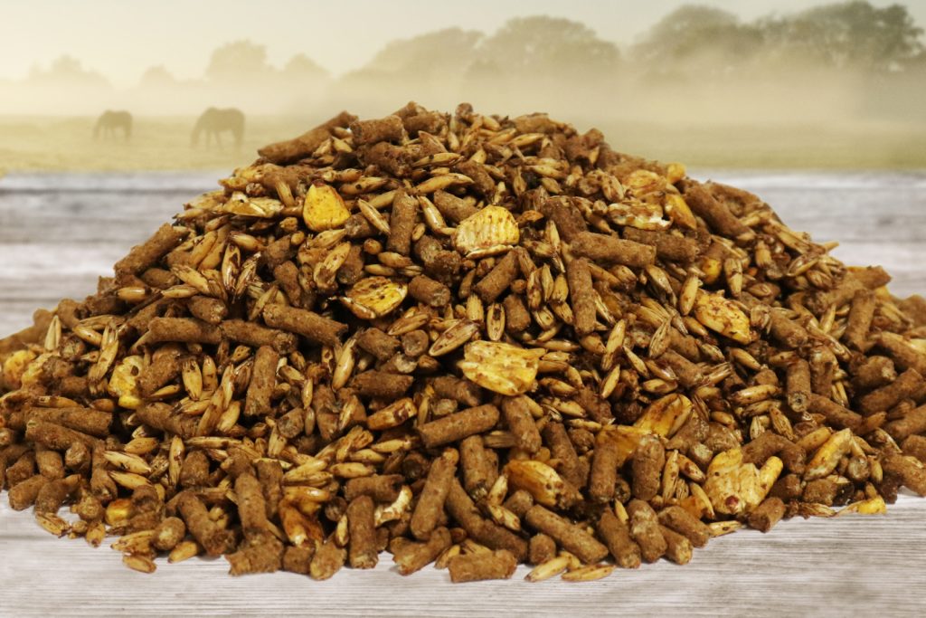 Equine Feeds - High Quality Nutrition For Horses | Advantage Edge