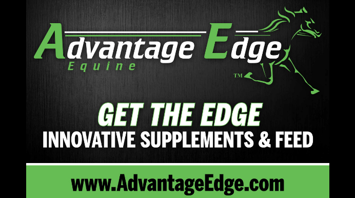 Advantage Edge At Black Book Standardbred Sale - Advantage Edge